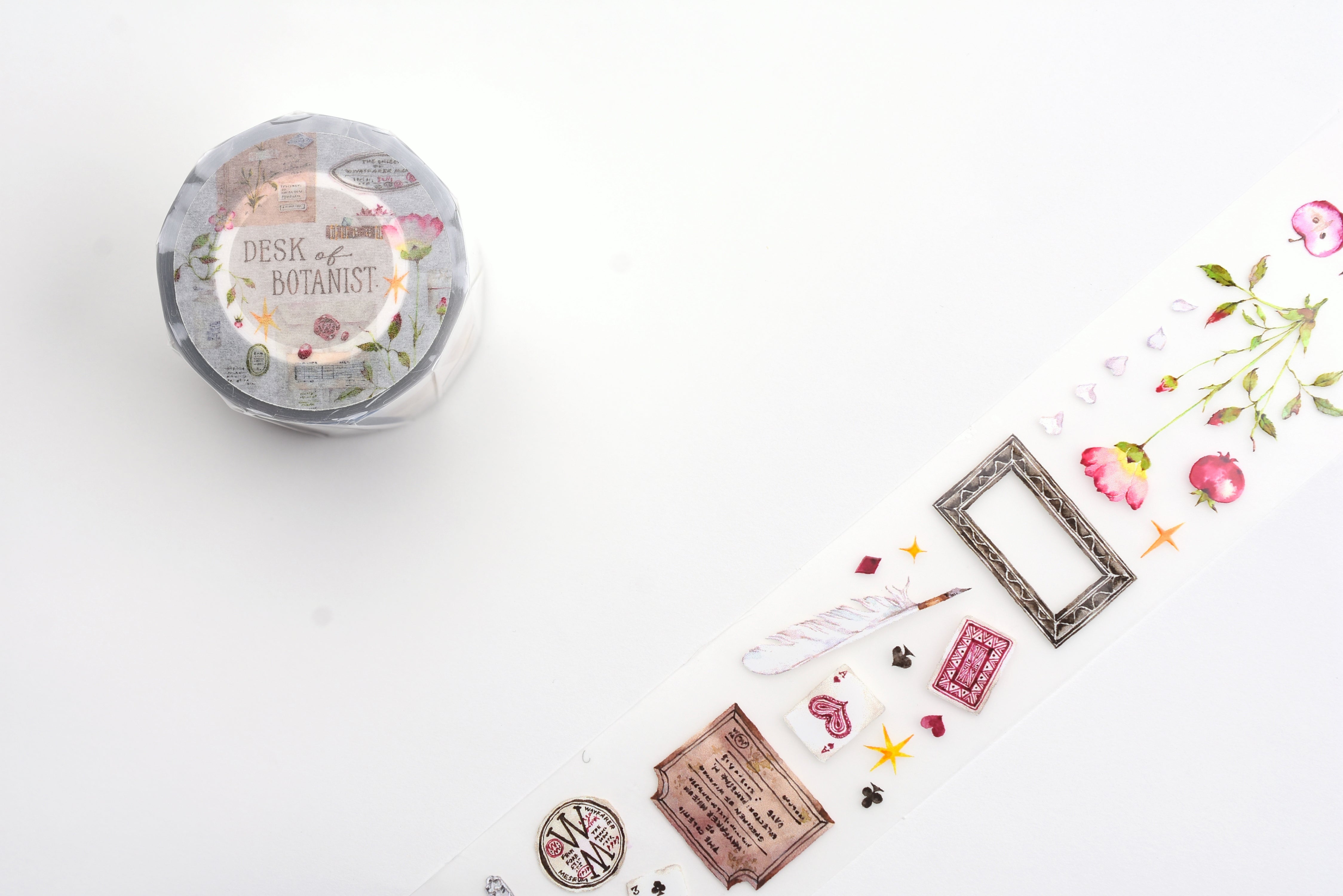 OURS x Hank - Desk of Botanist PET Tape – Yoseka Stationery