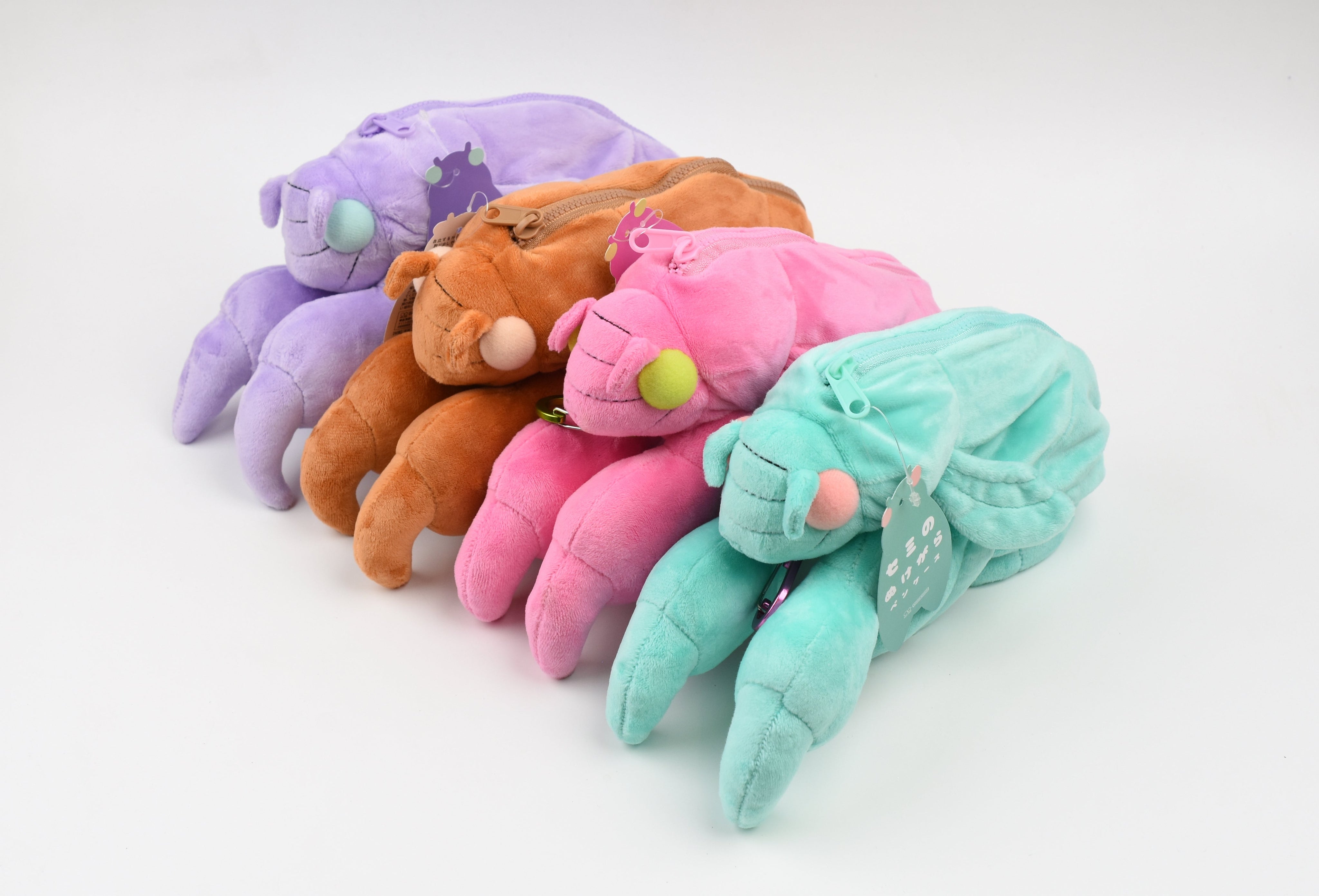Sun-Star Cicada Shell Pencil Case – Yoseka Stationery