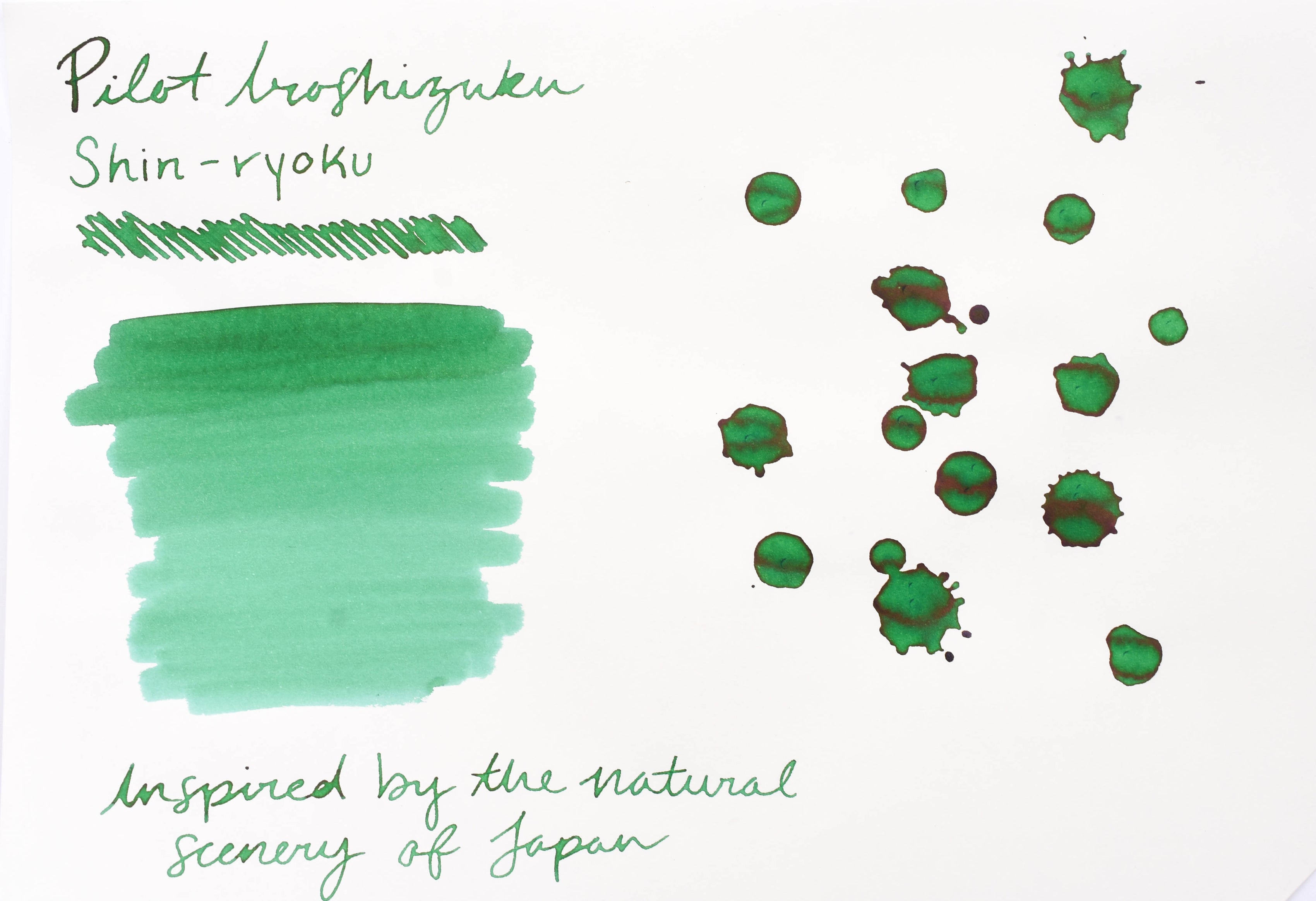 Pilot Iroshizuku Ink - Shin-ryoku - 50 mL Bottle Ink – Yoseka Stationery