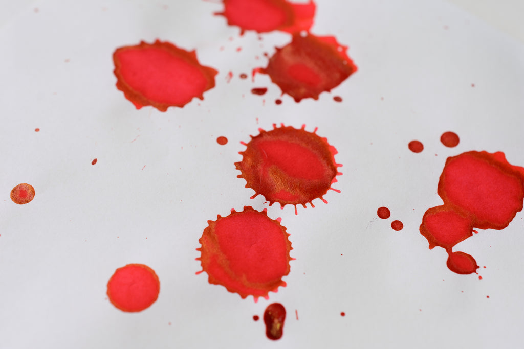 Sailor Ink Studio No. 730 – Yoseka Stationery