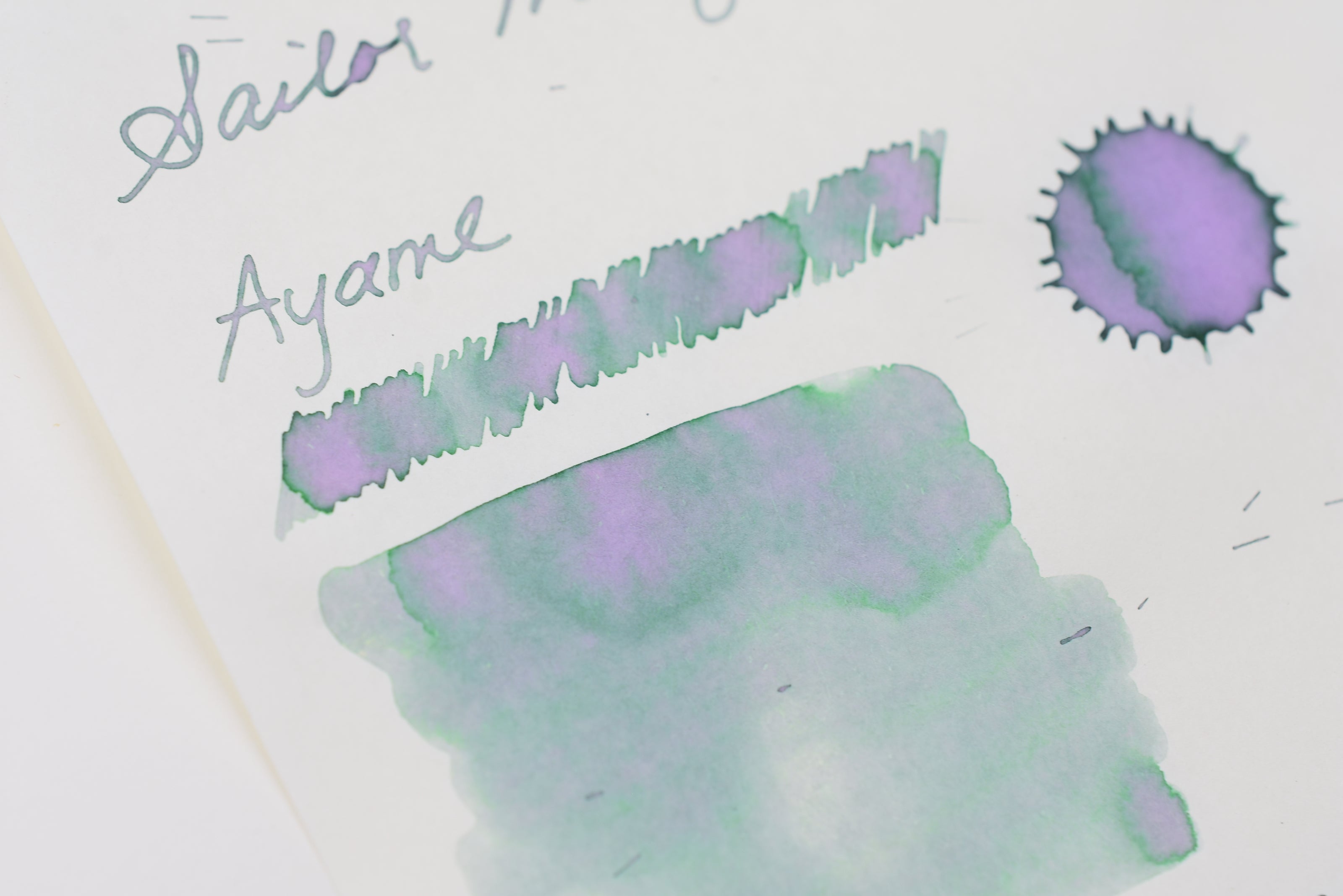 Sailor Manyo Ayame Ink – Yoseka Stationery