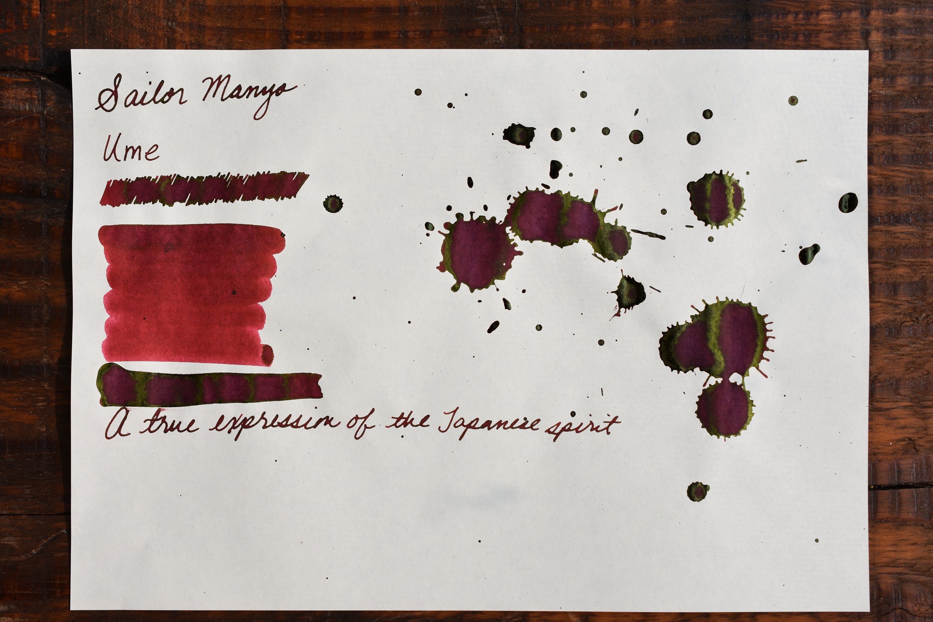 Sailor Manyo Ume Ink – Yoseka Stationery