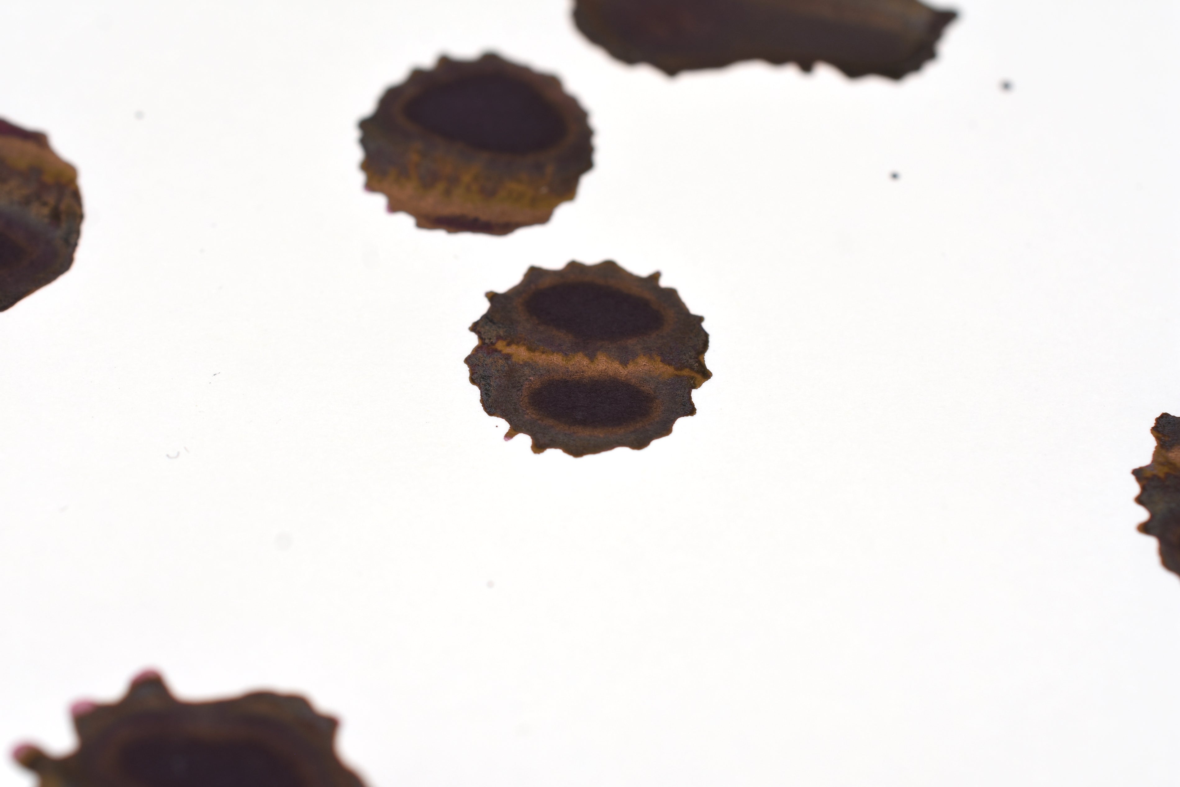 Diamine Fountain Pen Ink - Merlot - 30mL – Yoseka Stationery