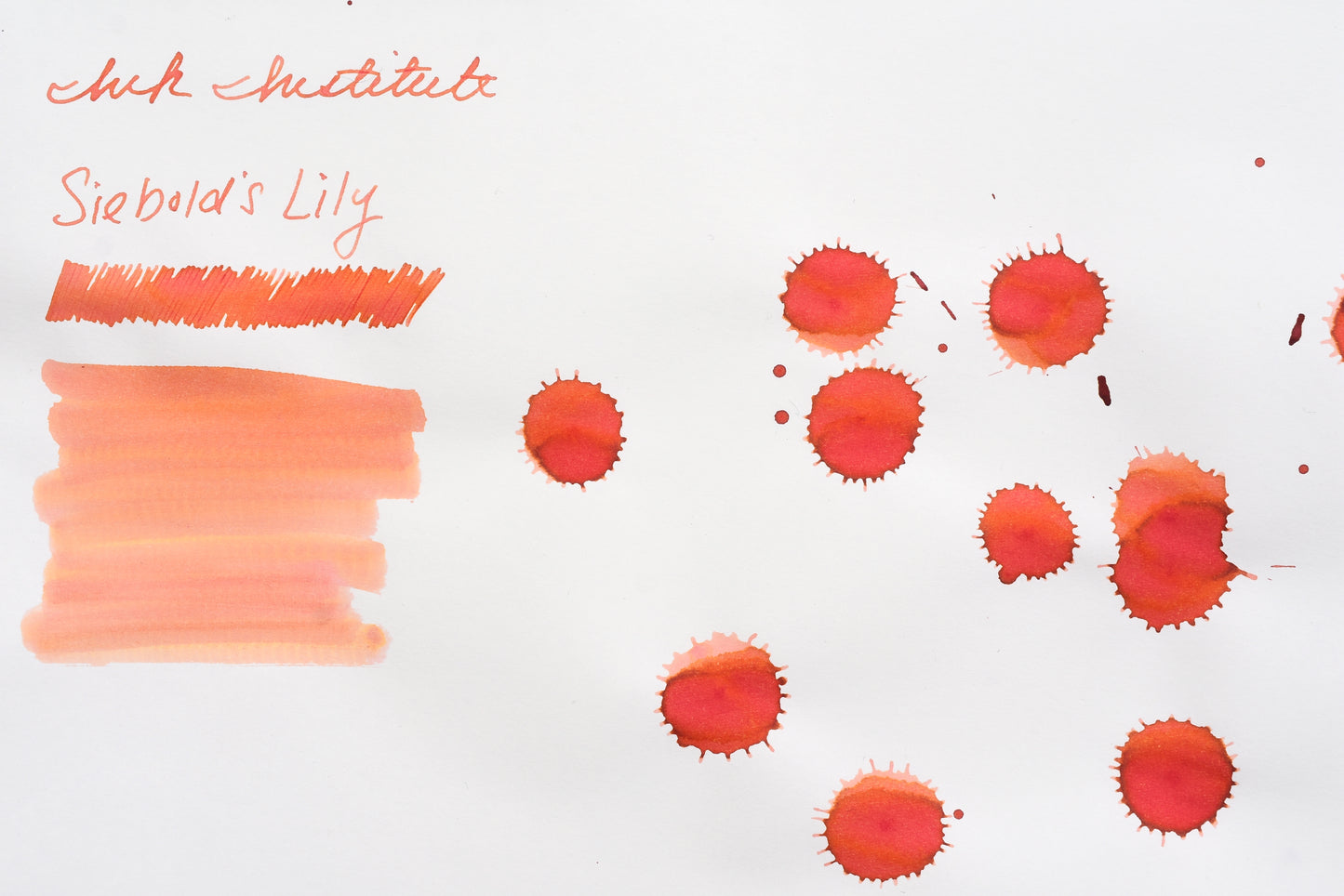 Ink Institute Meander Series - Siebold's Lily – Yoseka Stationery