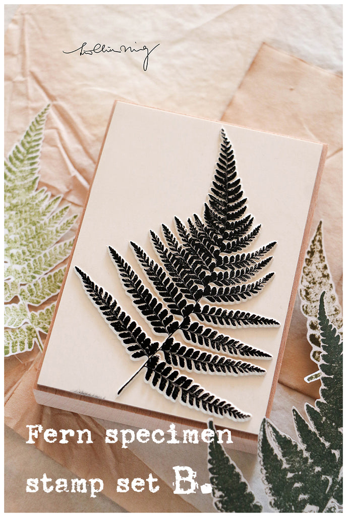 LCN Fern Specimen Stamp Set B – Yoseka Stationery