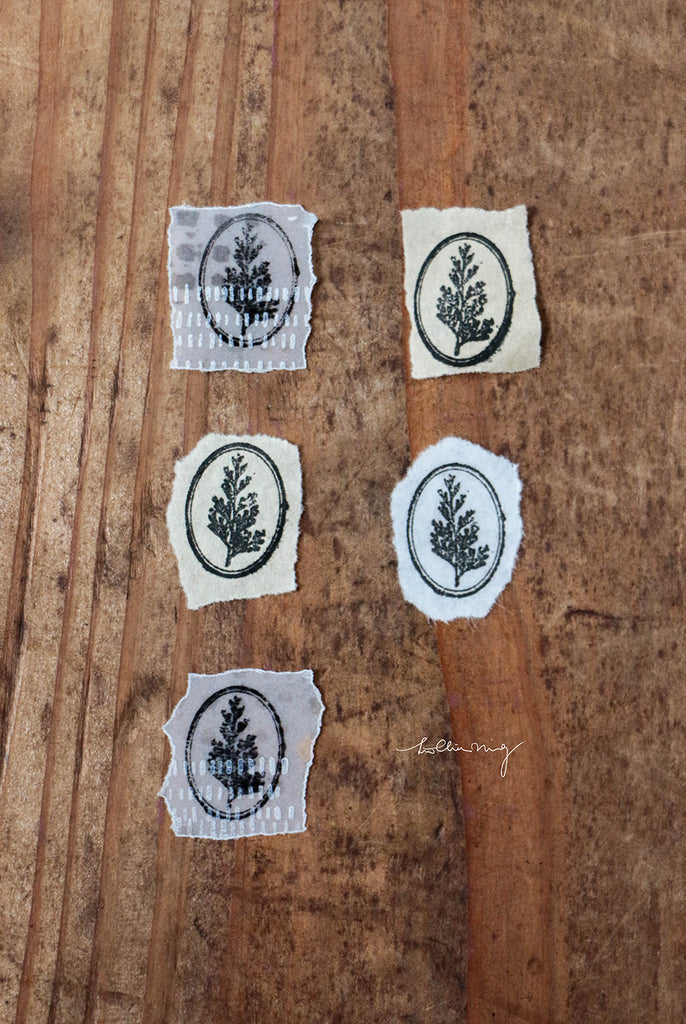 LCN Fern Specimen Metal Stamp - Common Wedgelet Fern (Ellipse) – Yoseka ...