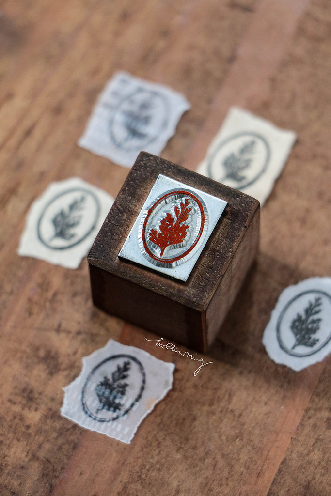 LCN Fern Specimen Metal Stamp - Common Wedgelet Fern (Ellipse) – Yoseka ...